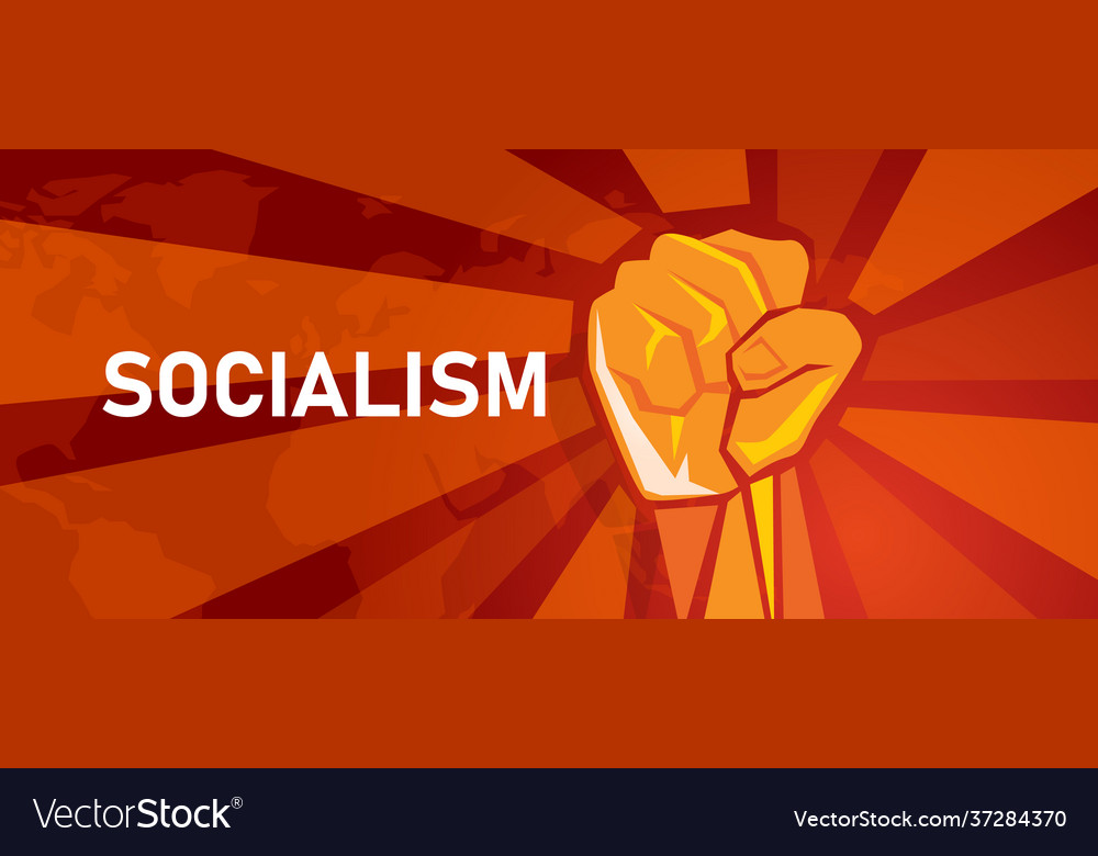 VIVA SOCIALISM! BY ABENA OSEGU BOATENG - Theinsightnews